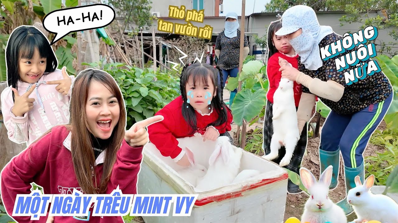 Mẹ Hà Hà Hí Cùng Cả Nhà Trêu Đàn Thỏ Của Mint Vy Đã Ăn Hết Vườn Rau Của Bà Và Phản Ứng Của Mint ...