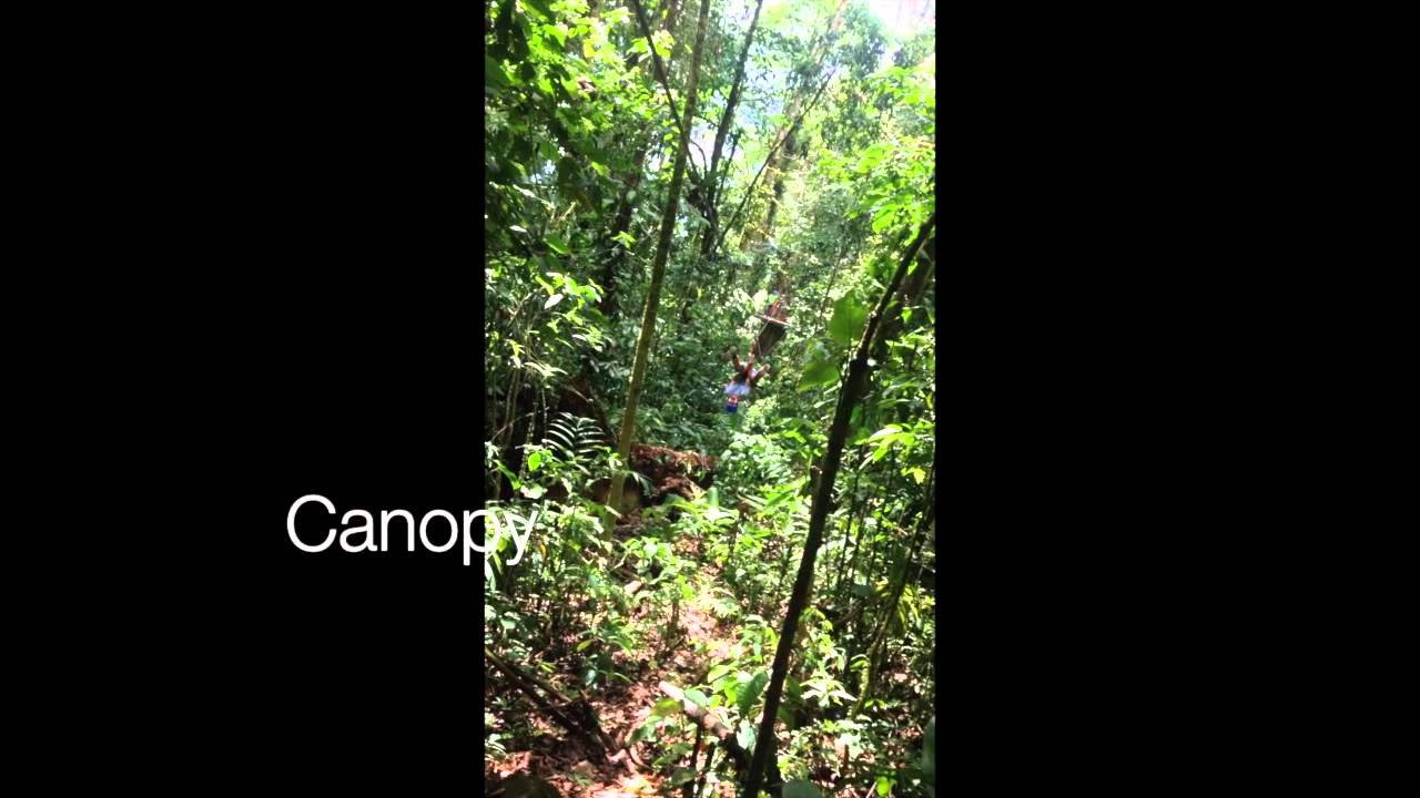 extreme forest park, Costa Rica - YouTube