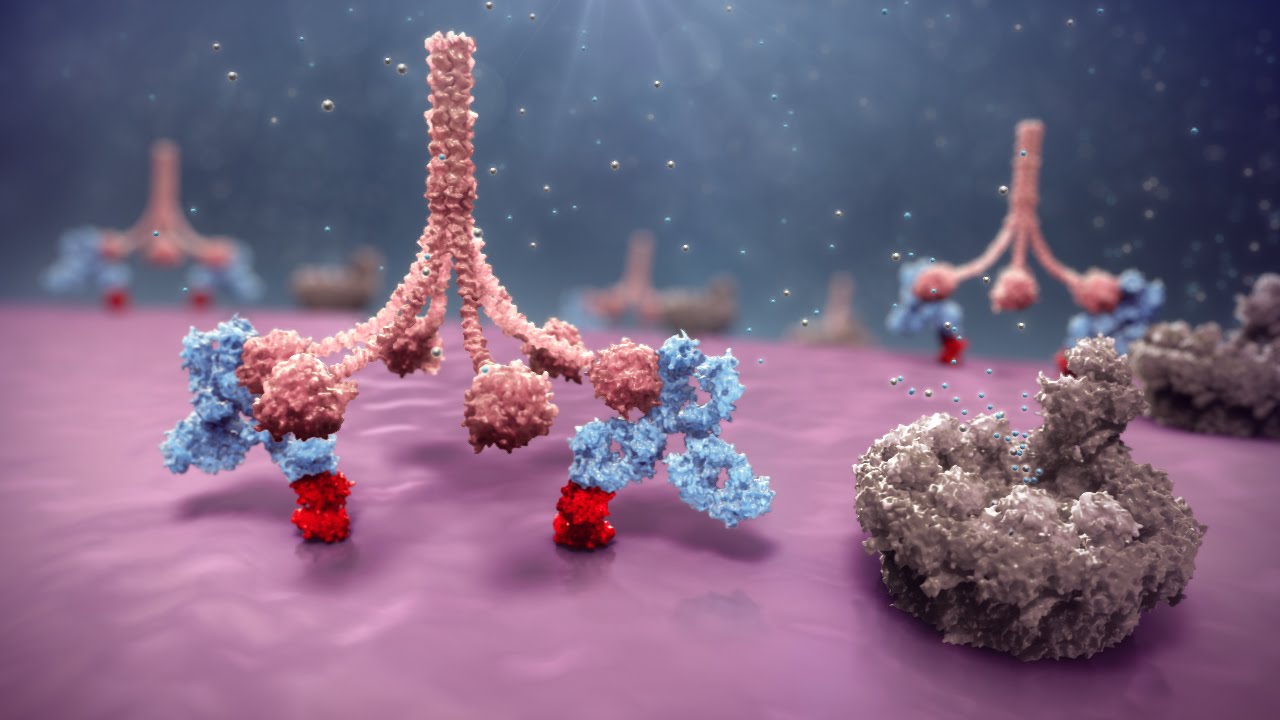 Explaining the Mechanism of Action of Pharmaceutical Compounds - YouTube