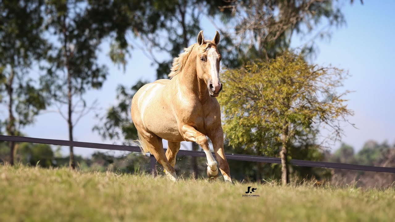 01 - Luar do HIC - YouTube