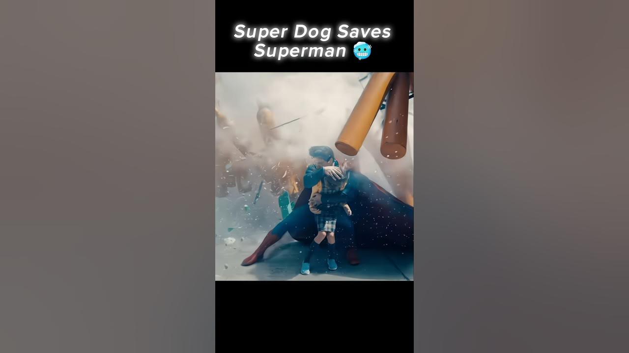 Krypto Saves Superman 🥶 | Superman Teaser Trailer | - YouTube