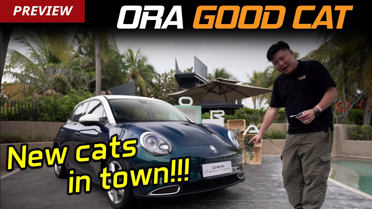 The Ora Good Cat - The New Cat in town. How cool will it be? [Pre ...