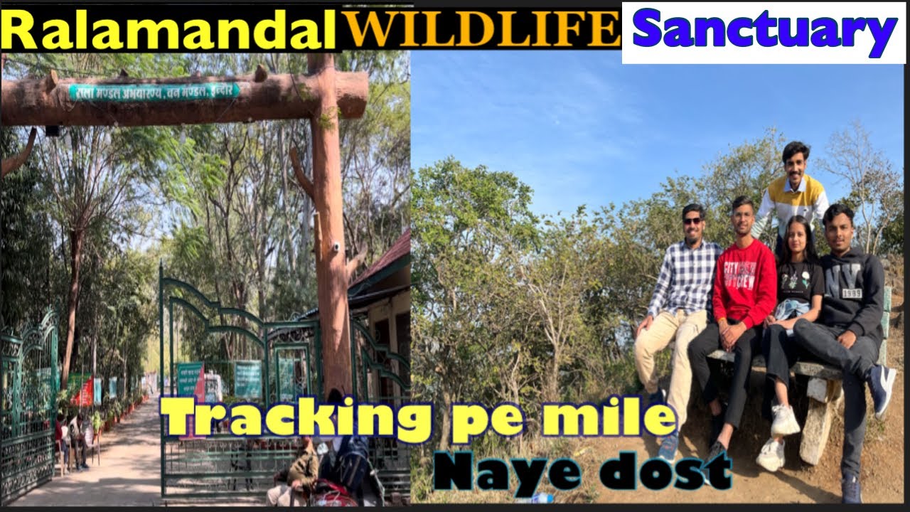 ralamandal wildlife sanctuary|| Ralamandal indore|| 😎🔥🔥 - YouTube