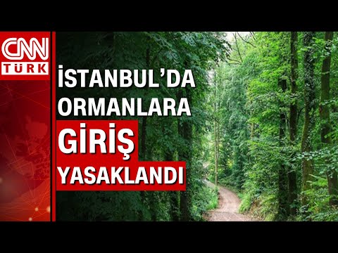 İstanbul Valiliği'nden ormanlara giriş yasağı!