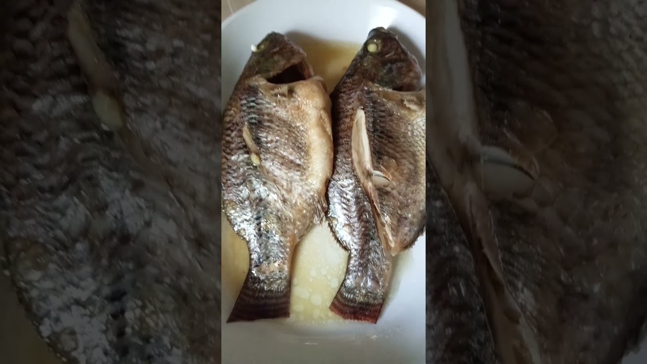 HALABOS NA TILAPIA #shorts - YouTube