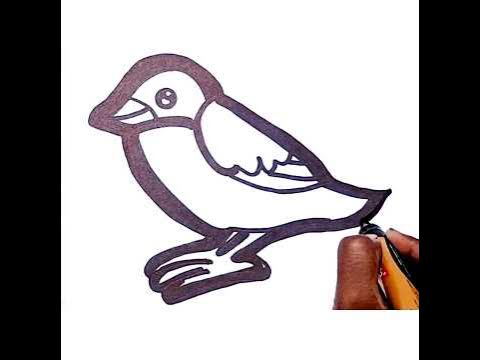 How to Draw Cute and easy Sparrow | #painting #drawing #colouring # ...