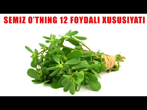 SEMIZ O'TNING 12 FOYDALI XUSUSIYATINI BILIB OLING !!!