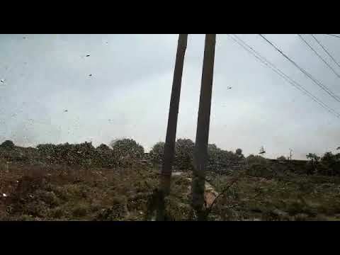 Tiddi attack in Rajasthan.. - YouTube