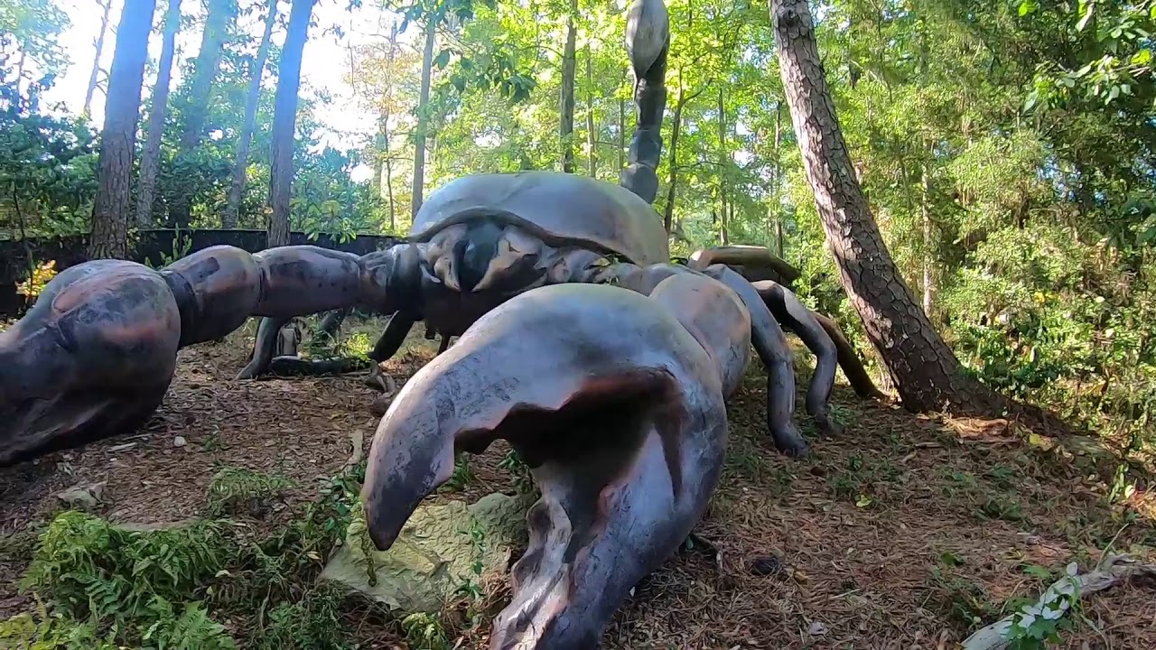 Big Bugs at Stone Mountain - YouTube