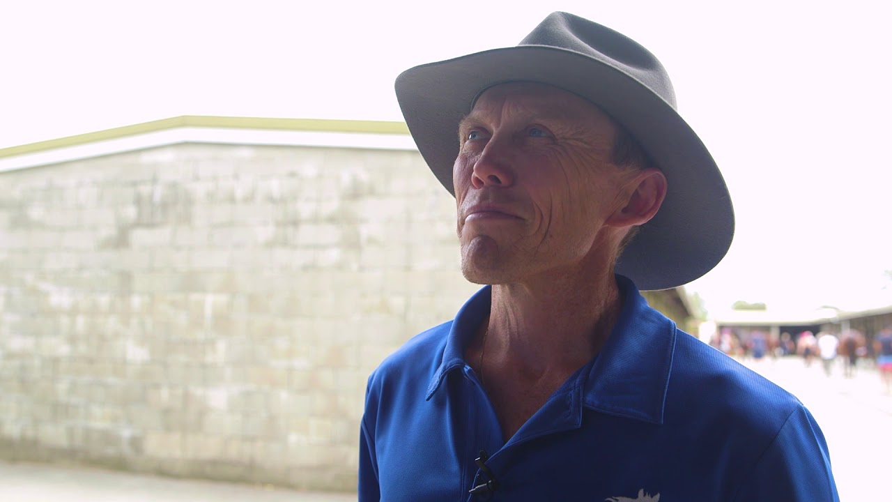 Boomsara gears up for Winning Rupert Plate - YouTube
