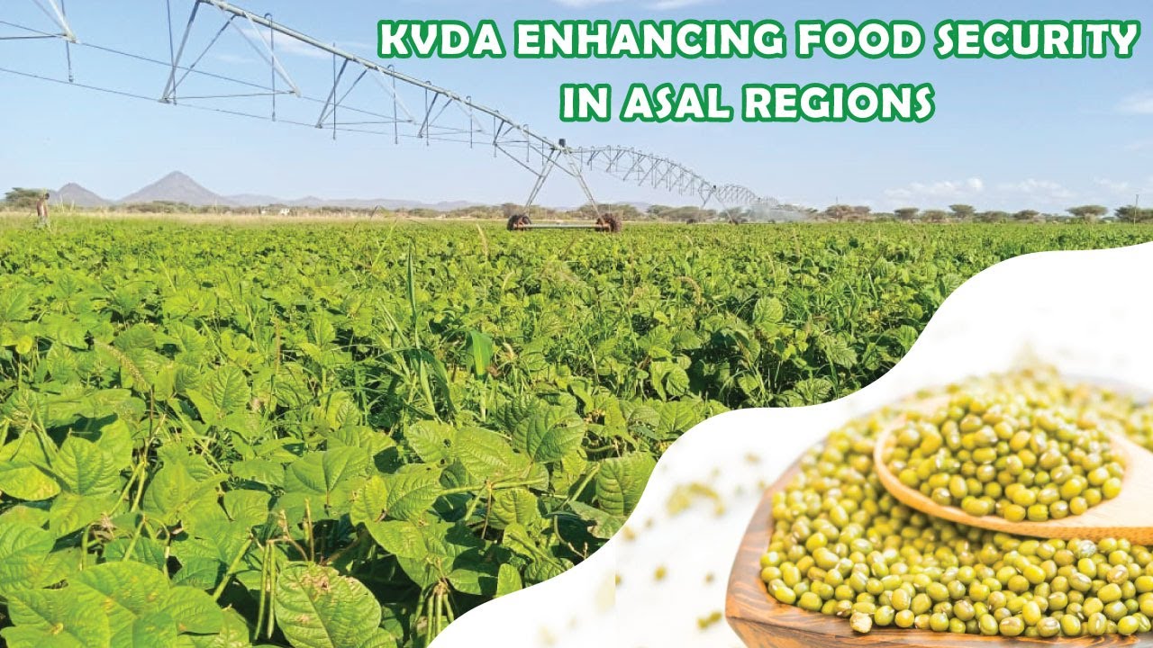 KVDA ENHANCING FOOD SECURITY - YouTube
