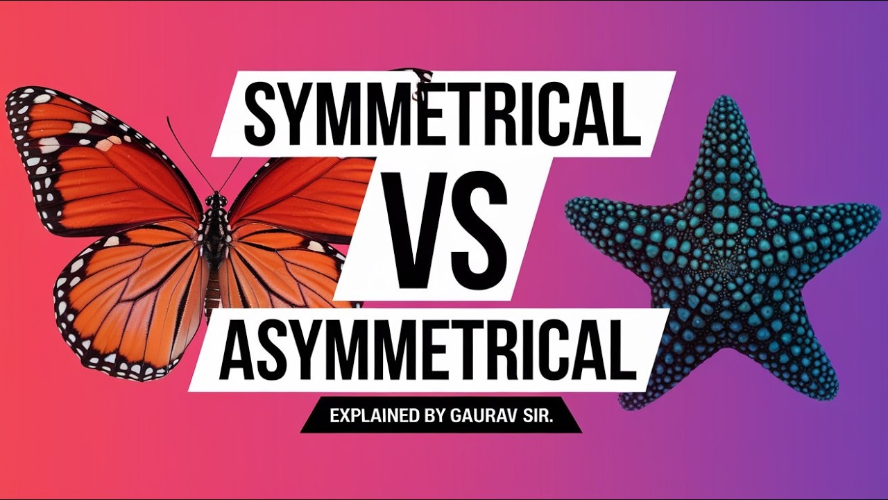 Symmetrical vs. Asymmetrical Creatures Explained | By Gaurav Sir - YouTube