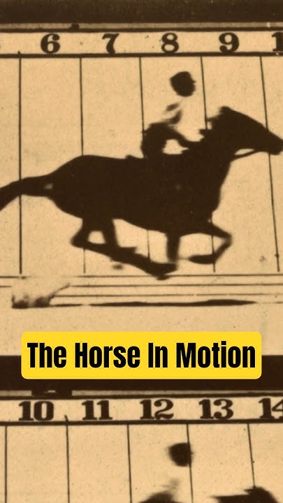 Eadweard Muybridge: The Horse in Motion 1878 and the Zoopraxiscope ...