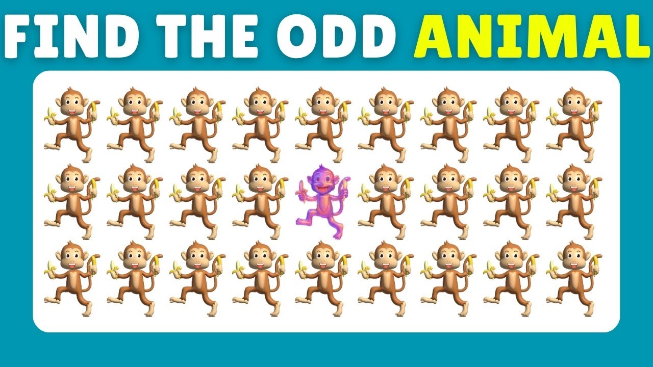 🐼 Find the Odd Animal Out! 🧠 Most Difficult Animal Puzzle on YouTube ...