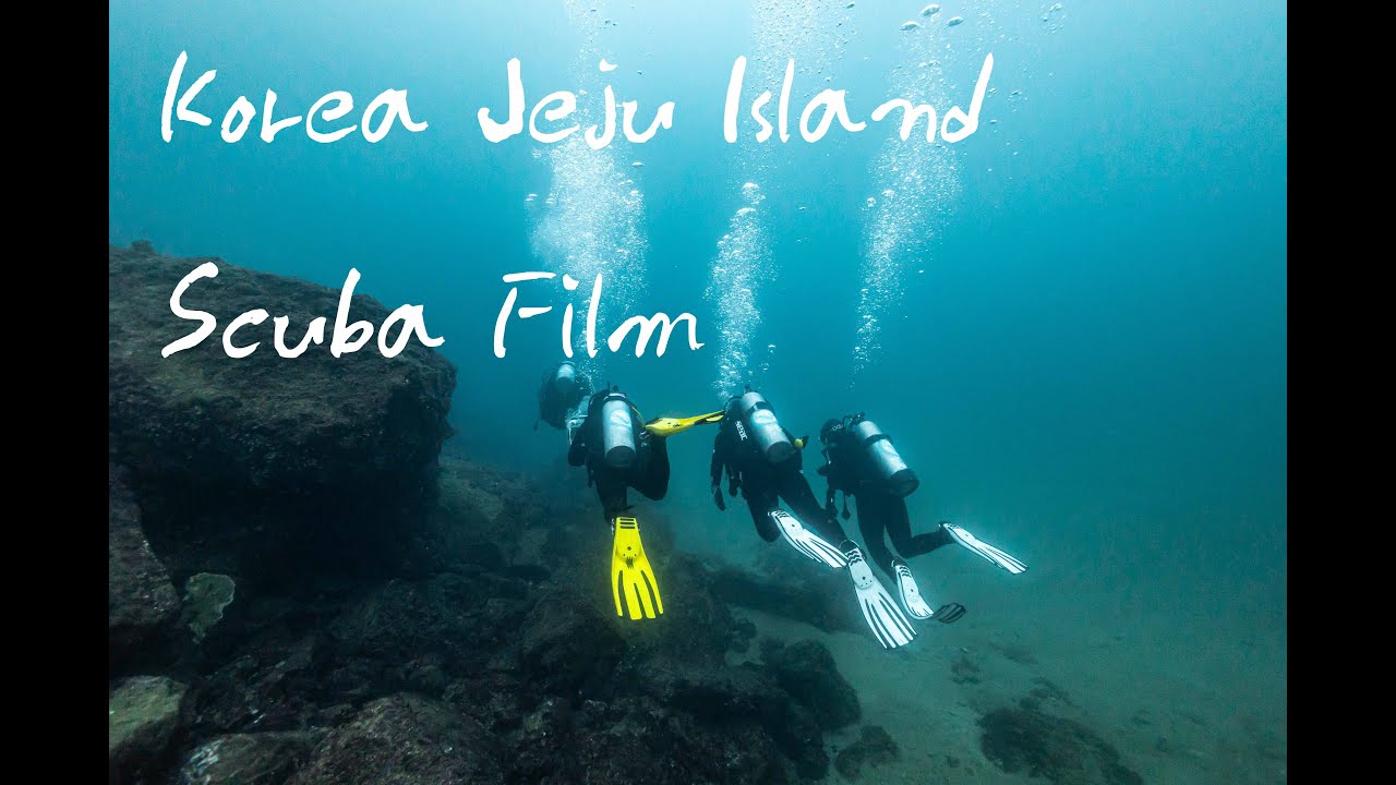 [Insta360 Acepro2]Jeju Scuba diving Film l KOREA Jeju Island / diving ...
