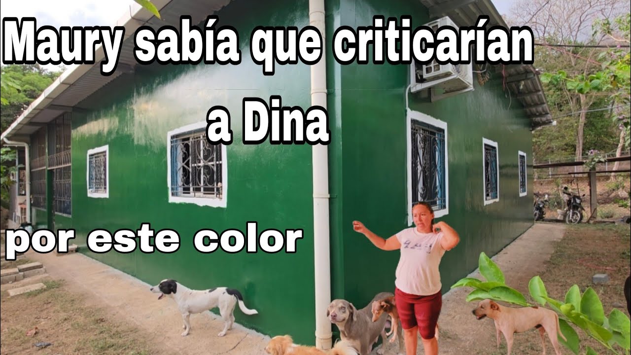 Porque razón Dina pinto la casa de este color - YouTube