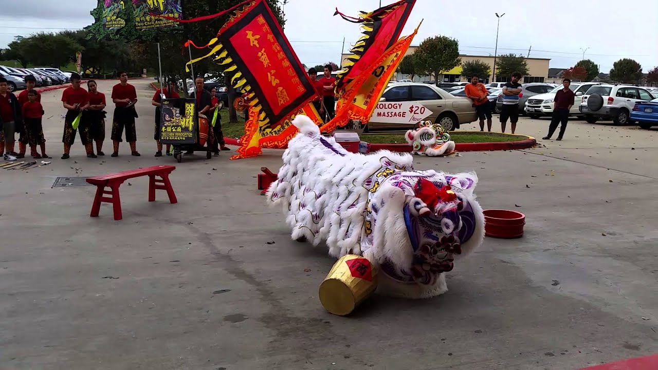 Drunken Lion Dance - Bao Minh Grand Opening - YouTube