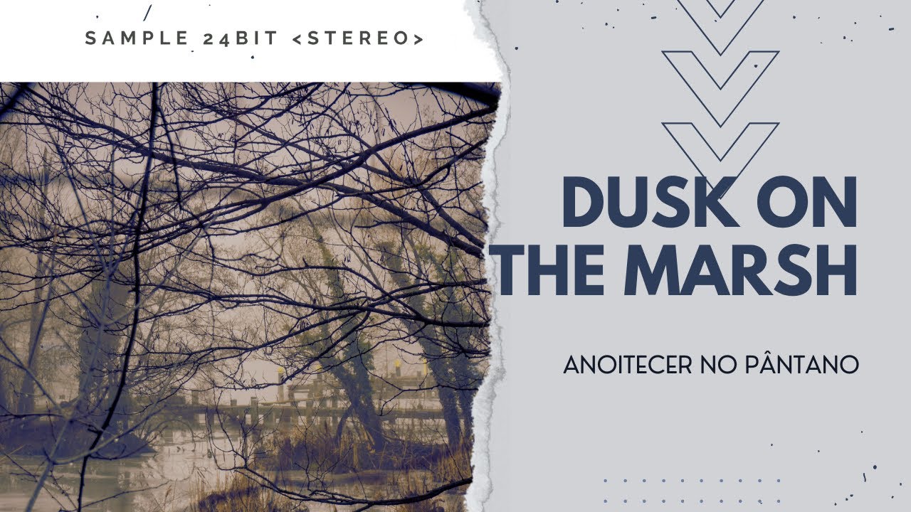 Dusk Sound, Relaxing Sound, Frog and Insects Sounds, Dusk On The Marsh ...