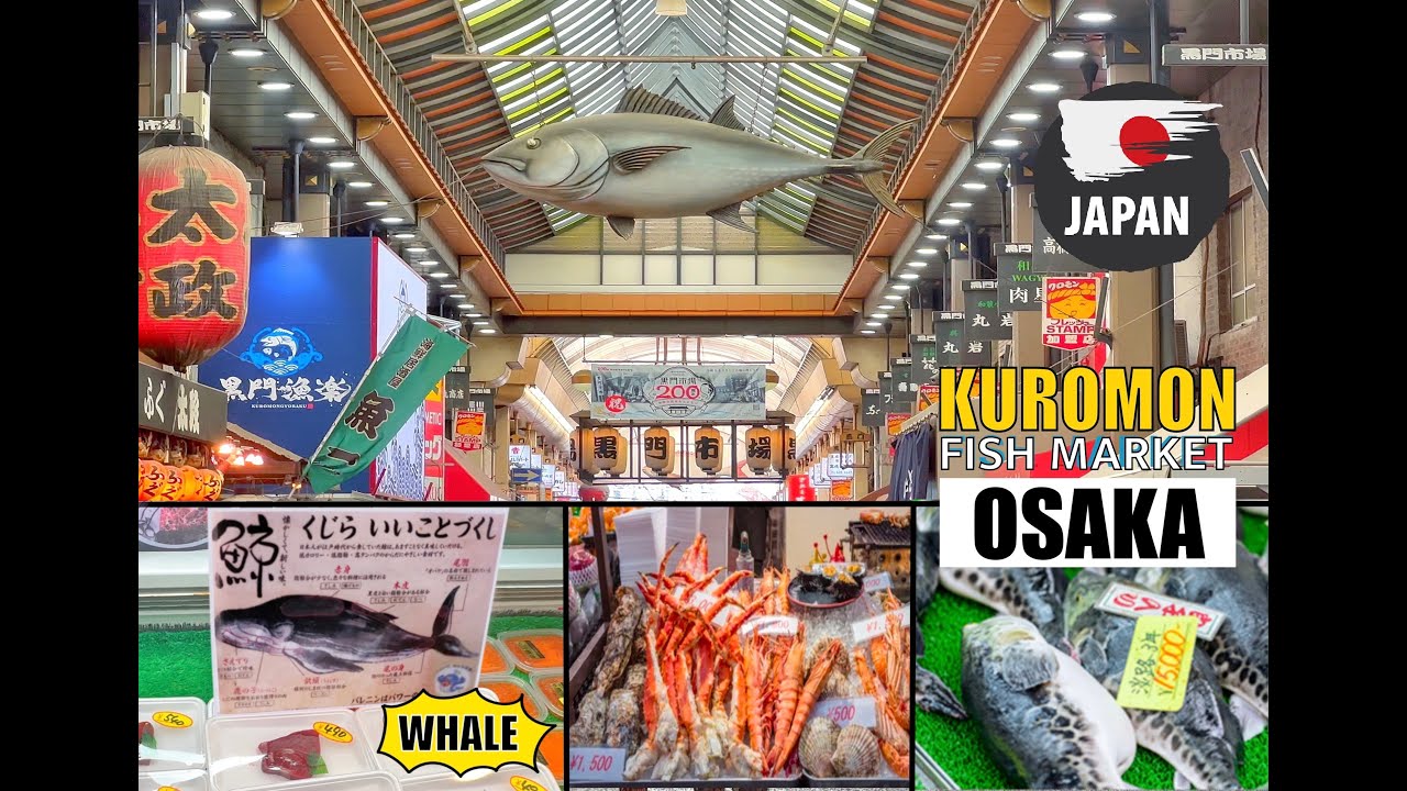 OSAKA FISH MARKET| WHALE MEAT| & TUNA SASHIMI| BEST MARKET IN OSAKA ...