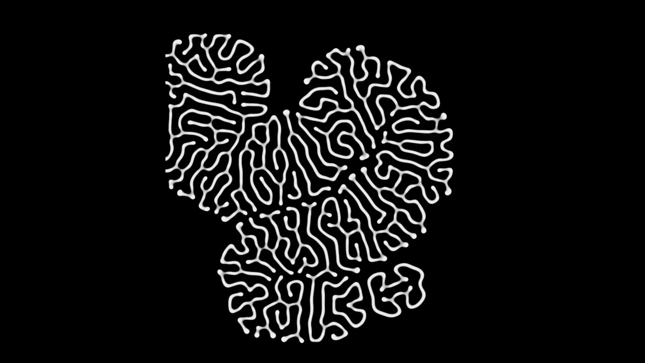 Reaction Diffusion | Generative Art | Web Demo - YouTube
