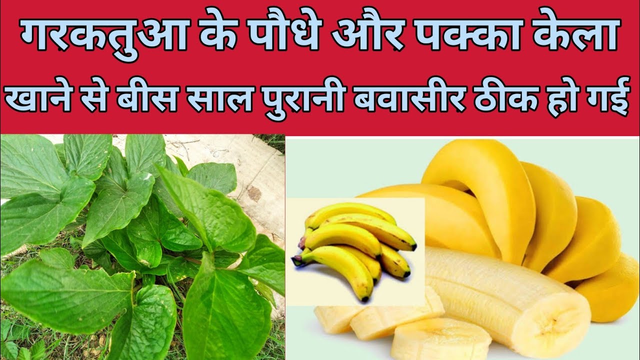 3 दिन में बवासीर (piles) को जड़ से खत्म करे।# piles treatment# bavasir ...