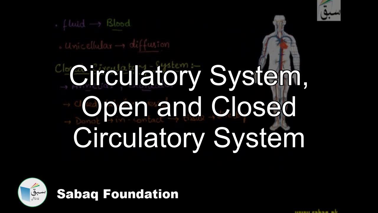 Open and Closed Circulatory System, Biology Lecture | Sabaq.pk - YouTube