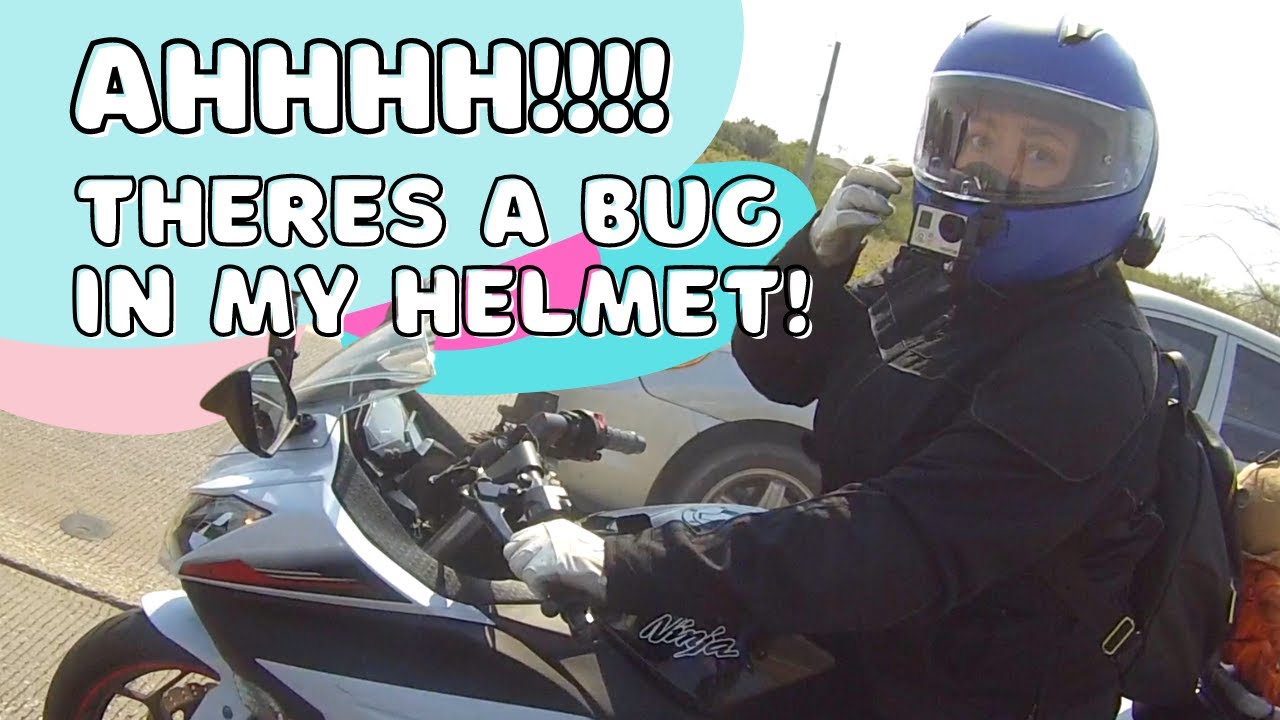 Motorcycle Ride Turns Into A Panic | Bug In Her Helmet | Kawasaki Ninja ...