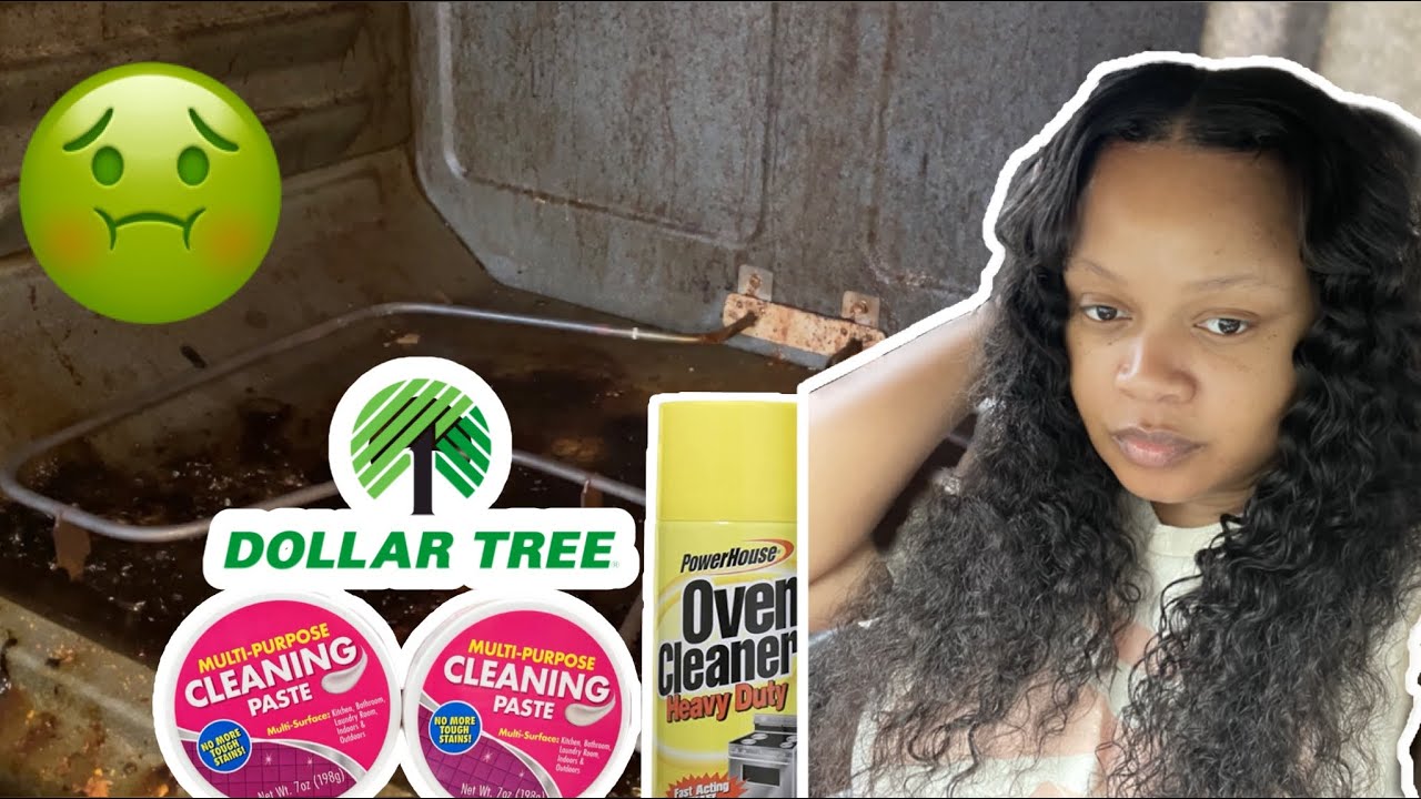 Clean With Me Dollar Tree Products Only| Dirtiest Oven in America 🇺🇸 ...
