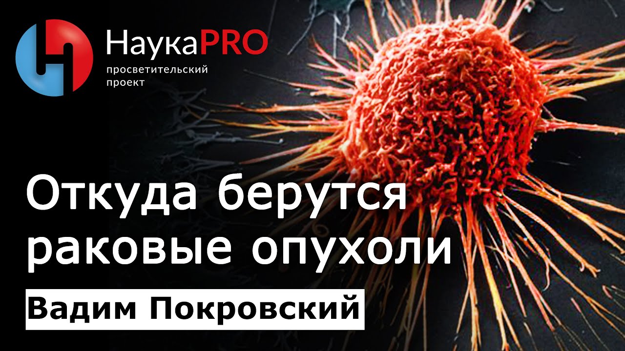 Откуда берутся раковые опухоли Вадим Покровский Онкология Лекции