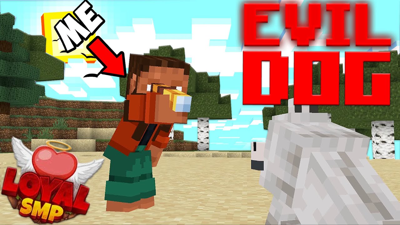 How This Dog Started a War In This MInecraft Smp | NotBuddyPlayz - YouTube