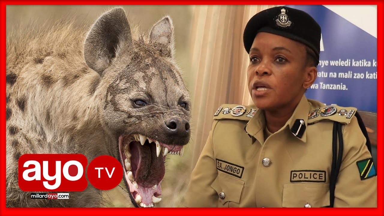 VIDEO: FISI KAIBA MTOTO, AKWEPA RISASI NA KUSHAMBULIA “ZIMETUMIKA ...