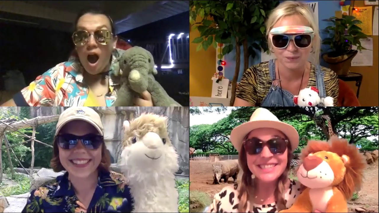 Virtual Field Trip (San Diego Zoo) - YouTube