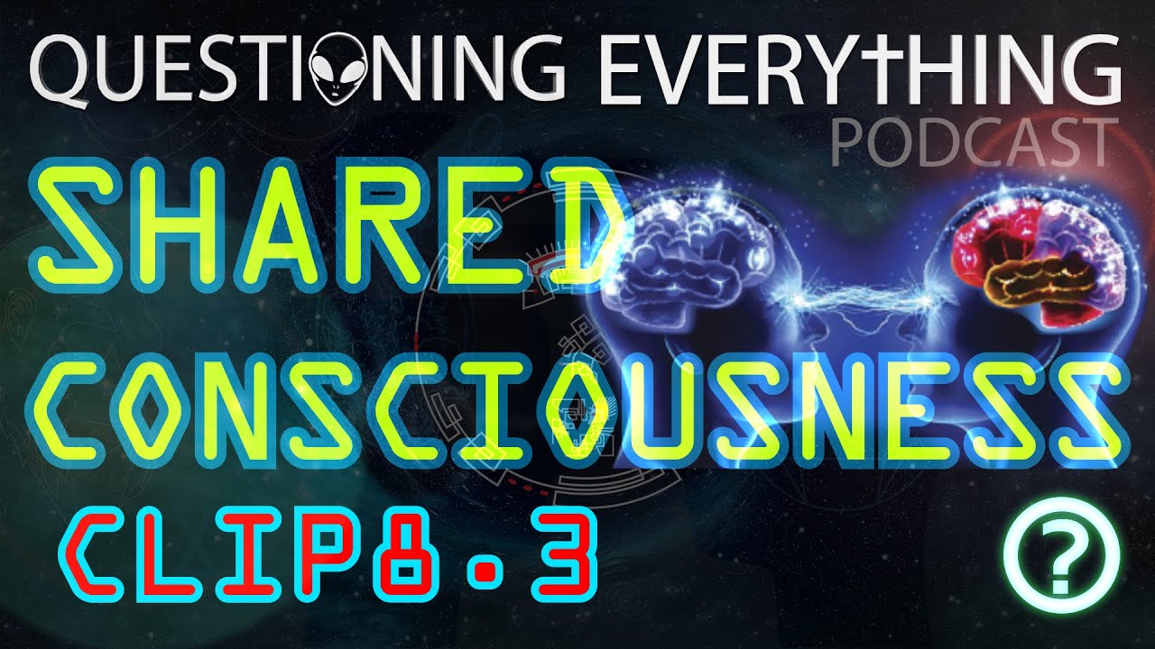 QECLIP8.3 - Shared Consciousness - YouTube