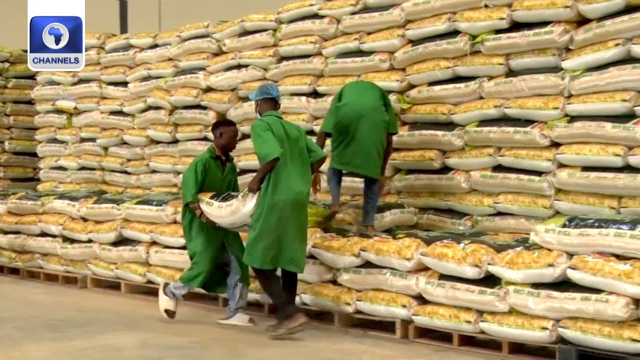 Lagos Govt Says Eko Rice Is Available For Yuletide - YouTube