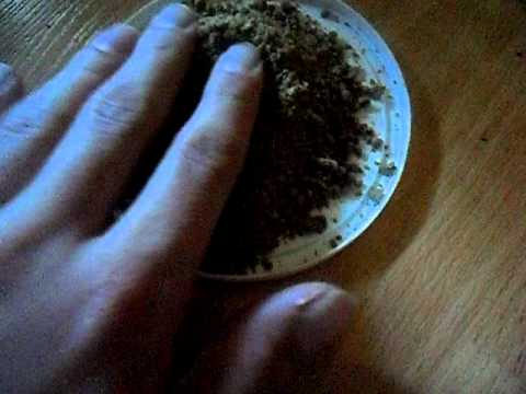 setting up cricket colony - YouTube