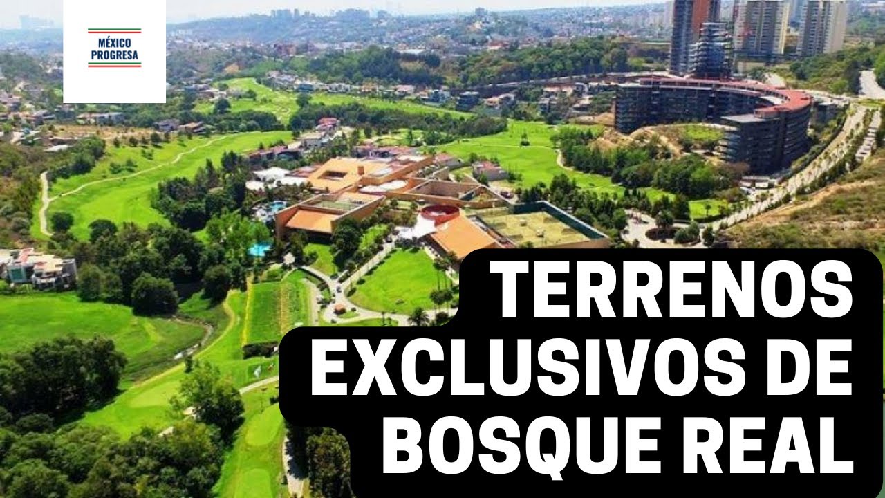 Los Terrenos Más Exclusivos y Lujosos de Bosque Real 😯 - YouTube