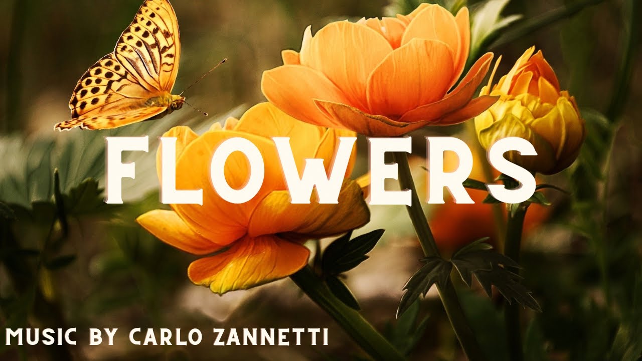 FLOWERS IN MUSIC - Sweet Music For Awakening And Concentration - YouTube