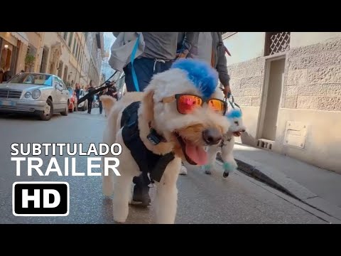 The Pack (2020) | Tráiler Oficial Subtitulado | Reality Show