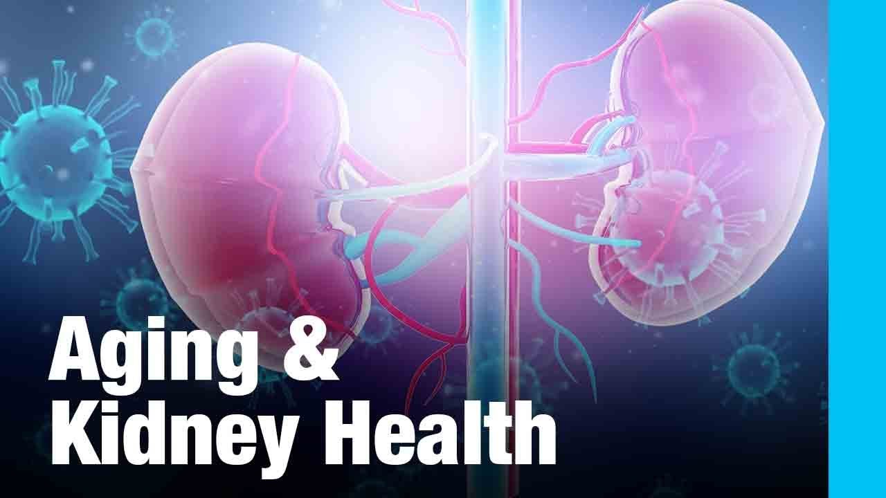 Aging and Kidney Health - YouTube