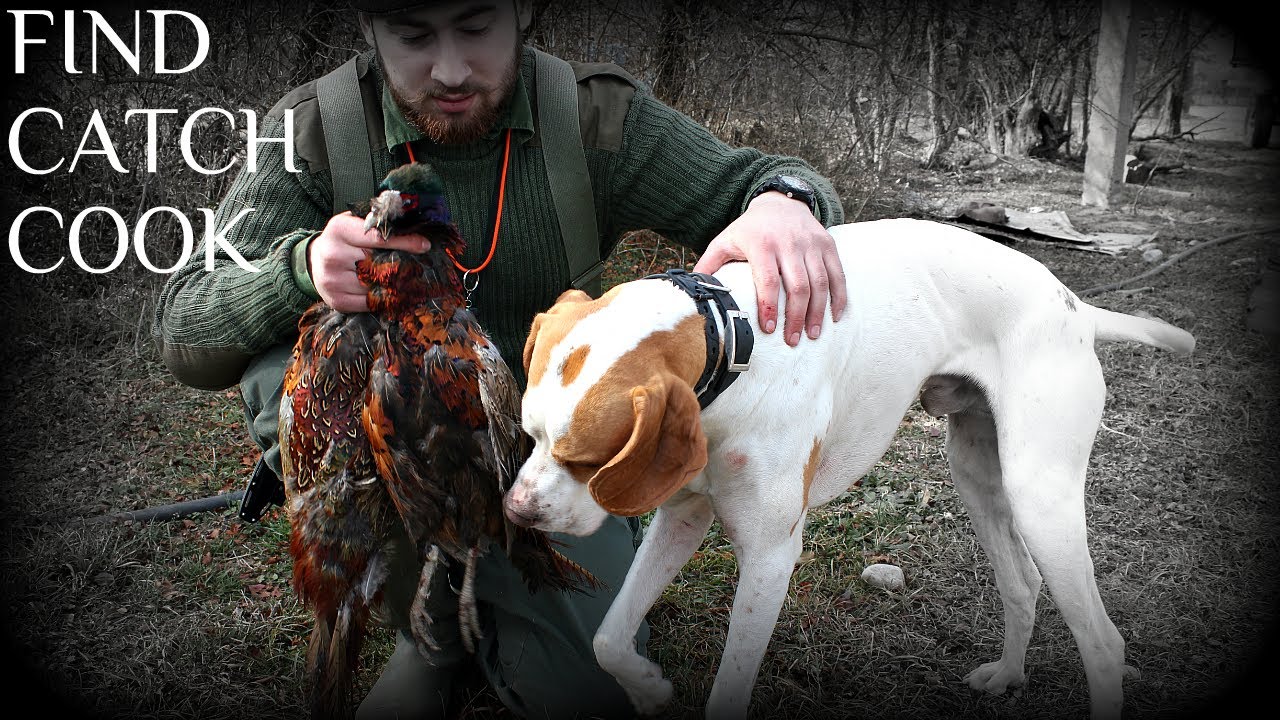 SURVIVAL DOG FINDS & CATCHES FOOD - THEN WE COOK IT - HD Video - YouTube