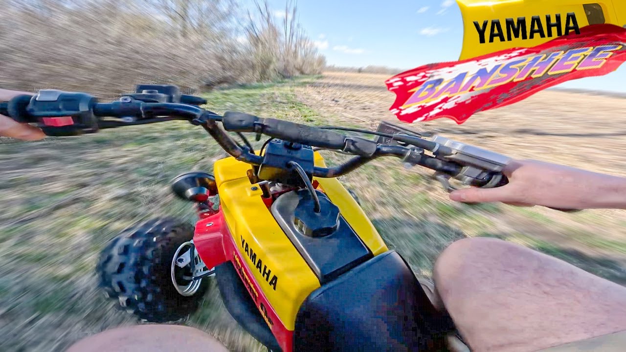 LRD Built Banshee Wide Open - YouTube