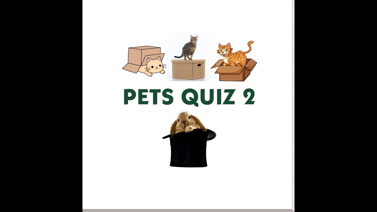 PETS QUIZ 2 - YouTube
