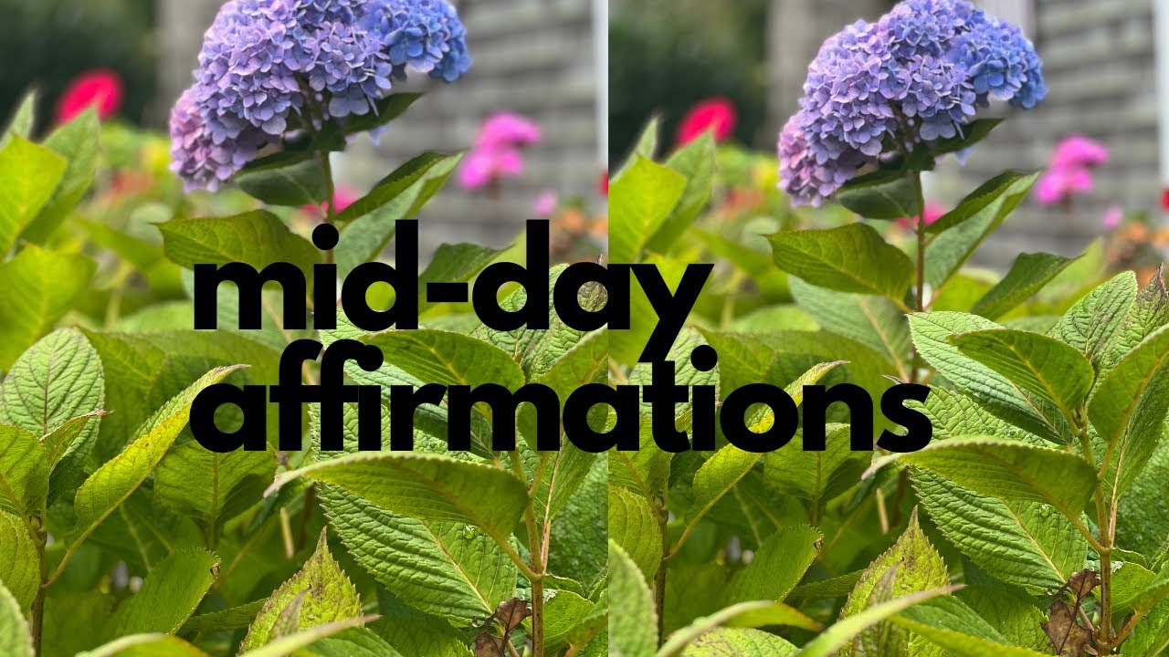 Mid-day Affirmations - YouTube