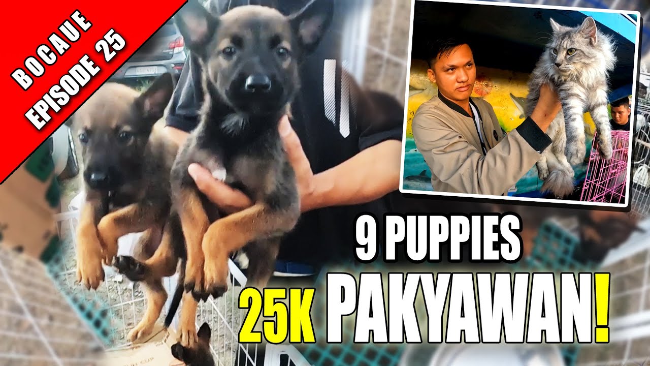 MABILISANG PAKYAWAN PARA SA MGA RESELLERS - YouTube