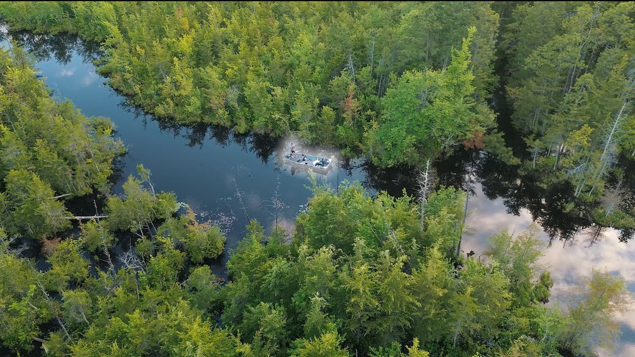 Backwoods Fishing Exploring NEW Lakes - YouTube