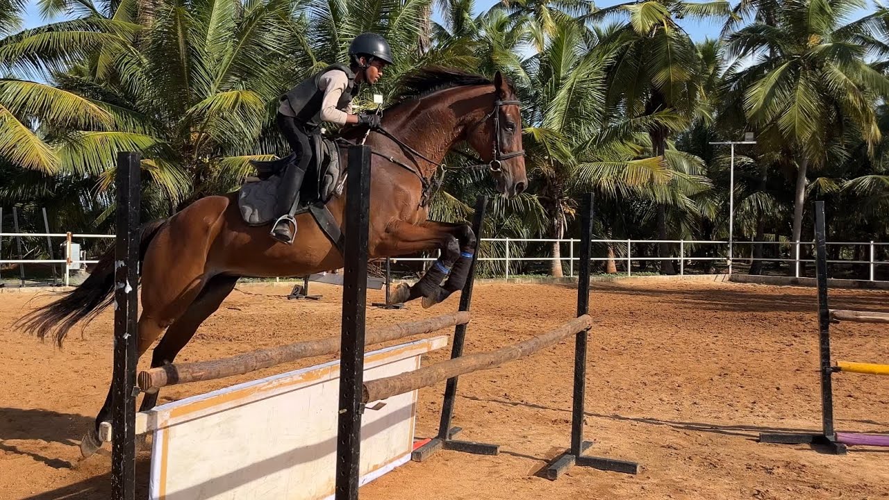Show jumping training by Covai Stables - 100cm to 105cm Full course and ...