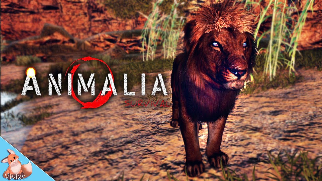 Growing the most beautiful black Lion in Animalia - YouTube