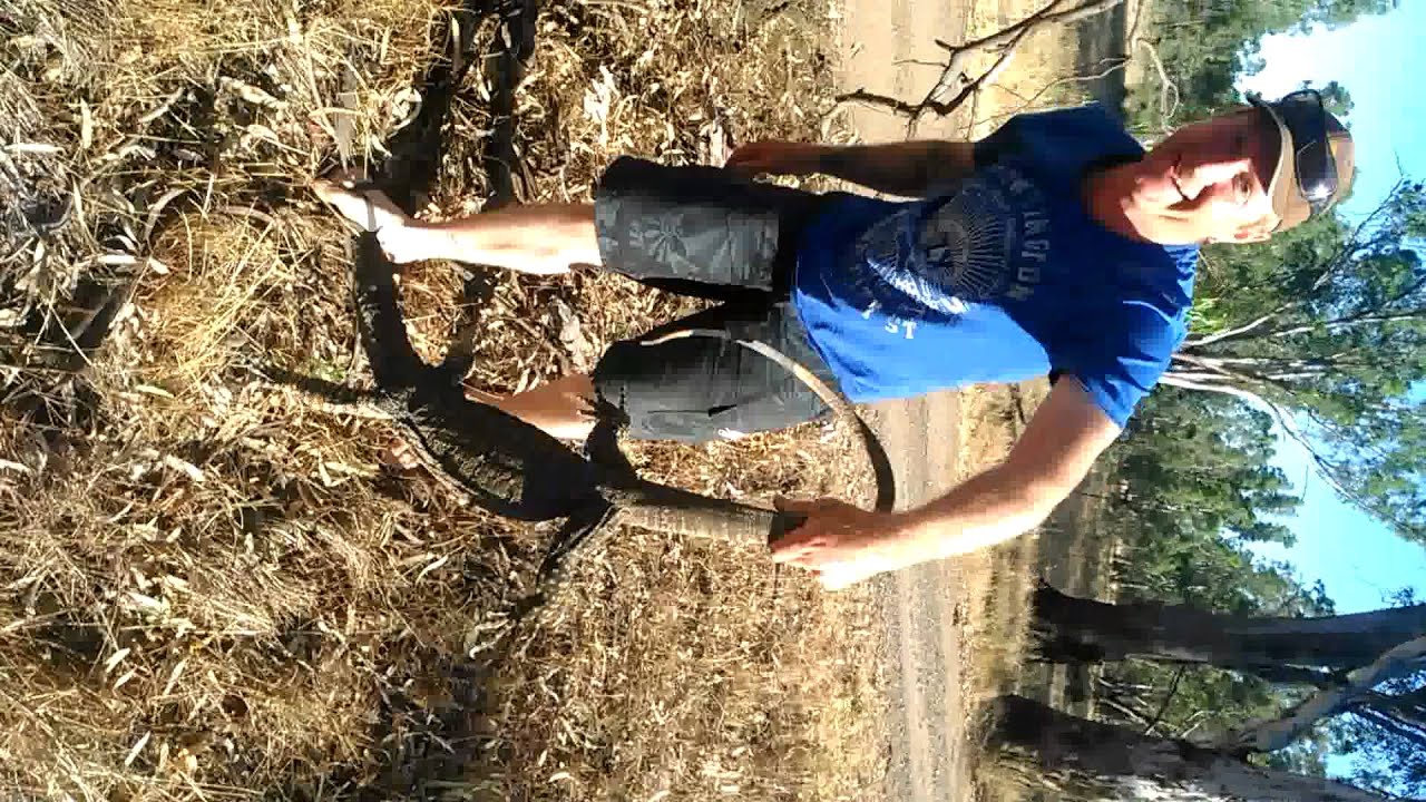 Goanna bite - YouTube