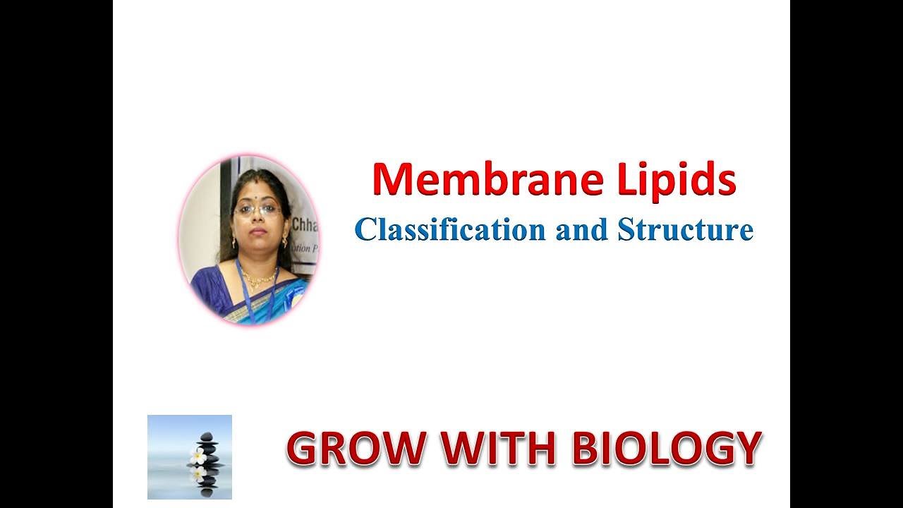 Membrane Phospholipid Structure and Classification #Phospholipids # ...