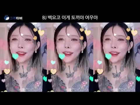 BJ 백요코 이게 토끼야 여우야